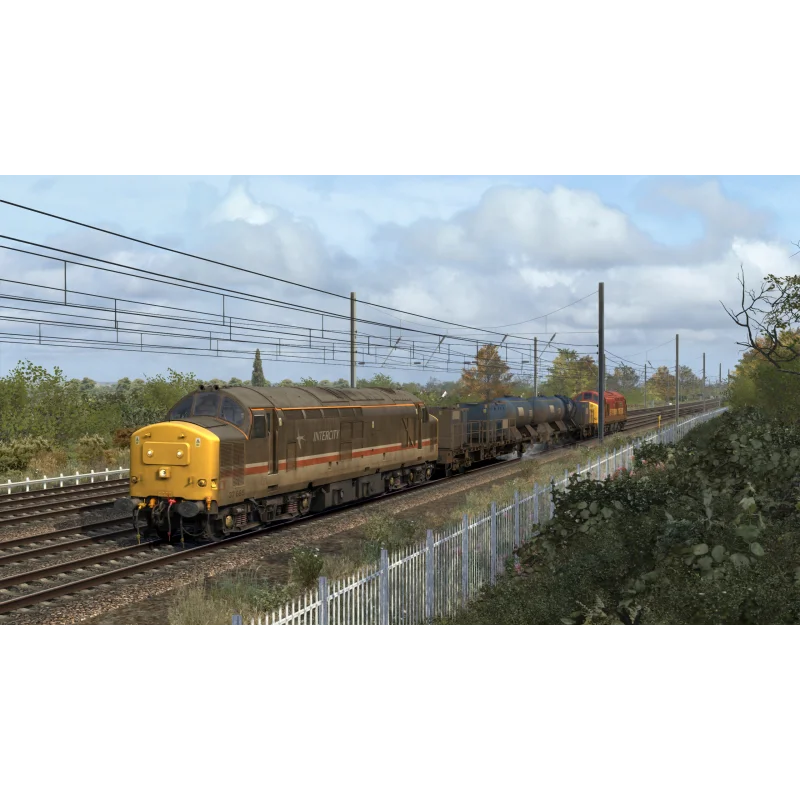 RHTT Wagon Pack